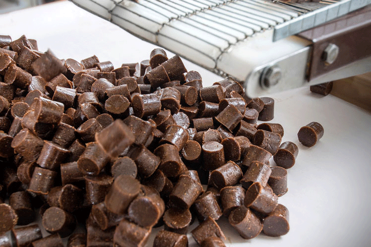 Pet Supplement Manufacturing: Solution Comparison Guide | Pet Tech Labs